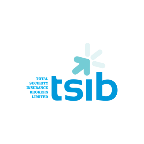 Topp IT Consulting - Empowering Businesses Through Technology